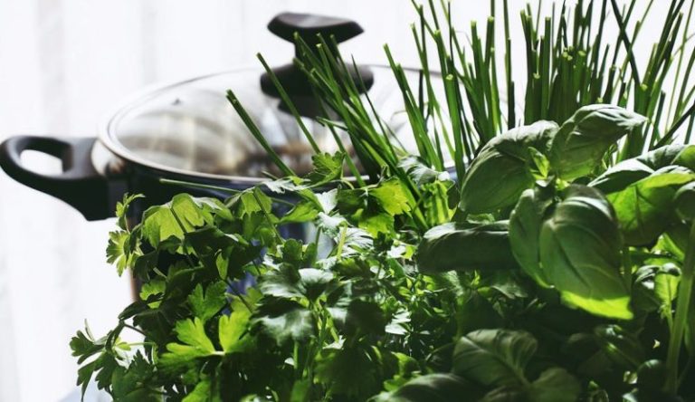 Boererate Vir Beginners: Jou Gids Tot Natuurlike Genesing