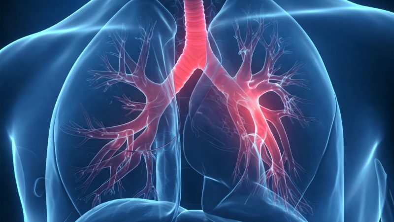 Boererate Vir Kort Asem: Asem Makliker Met Natuurlike Middels