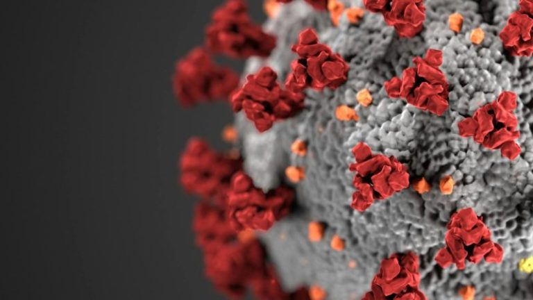 Boererate Vir Pitswere: Werkende Natuurlike Wenke En Praktiese Raad